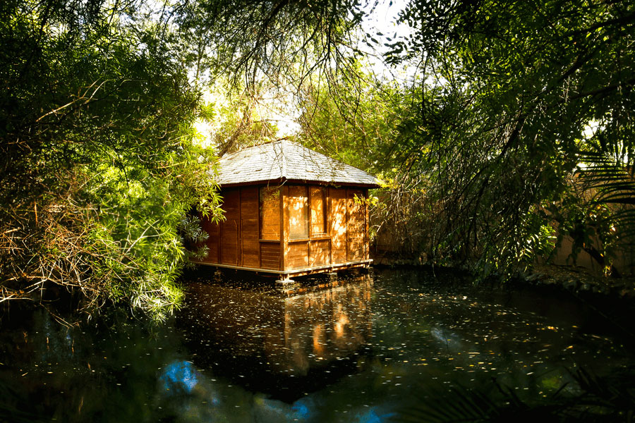 Over Water Cottages Gallery - The Tree House
