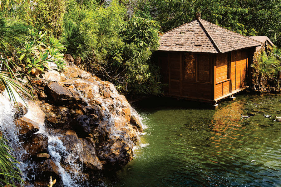 Over Water Cottages Gallery - The Tree House